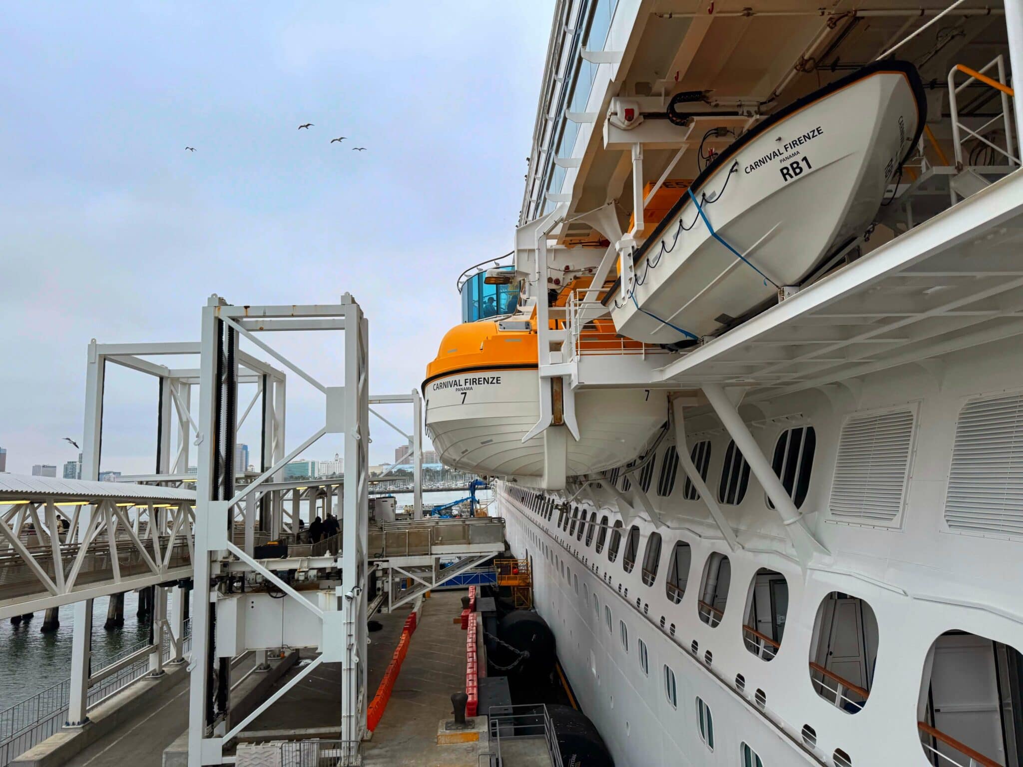 A Newbie's Guide to Cruise Ship Disembarkation