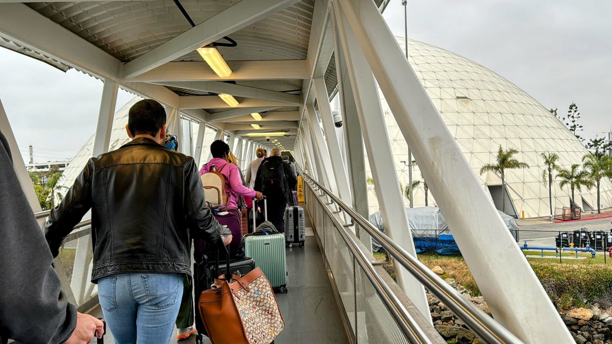 A Newbie's Guide to Cruise Ship Disembarkation