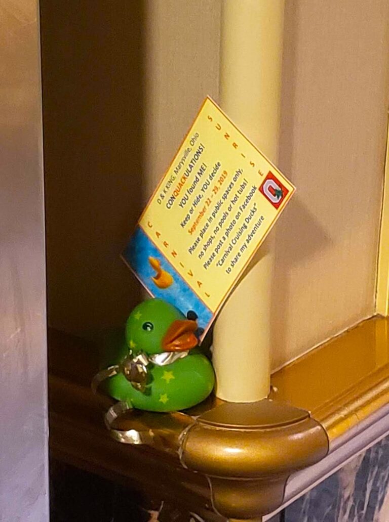 Cruise Ducks: A How-To Guide for Hiders and Seekers
