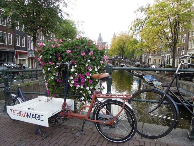 10 Must-Do Activities in Amsterdam