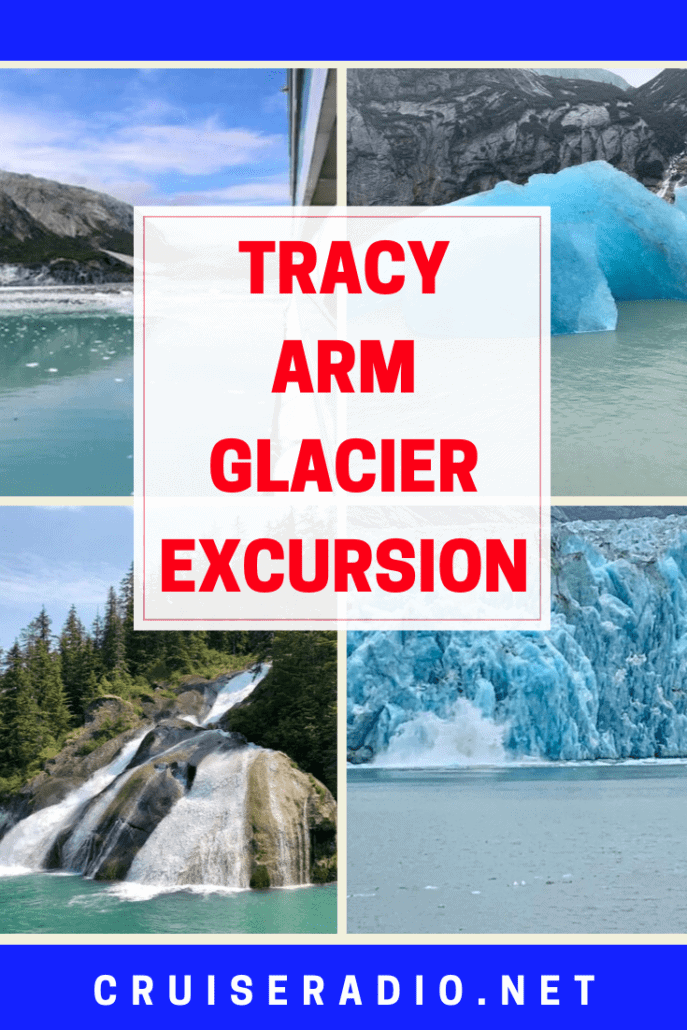 Tracy Arm Fjord and Glacier Cruise Excursion
