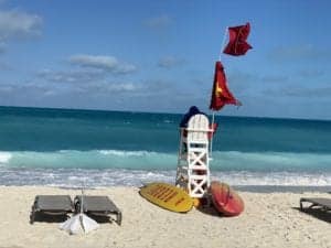 Tour Ocean Cay MSC Marine Reserve