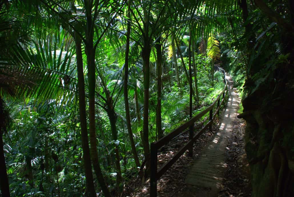 11 Things for Cruisers To Do in San Juan, Puerto Rico