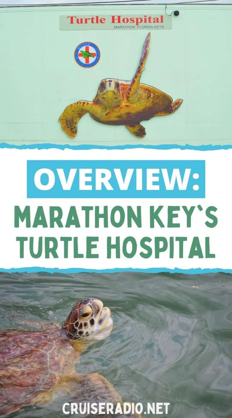 Overview: Marathon Key's Turtle Hospital