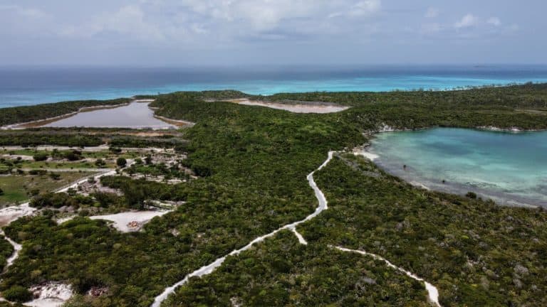 Unique View of Carnival's Half Moon Cay [PHOTOS]