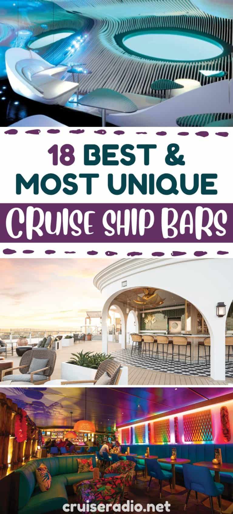 18 Most Unique & Best Cruise Ship Bars in 2022