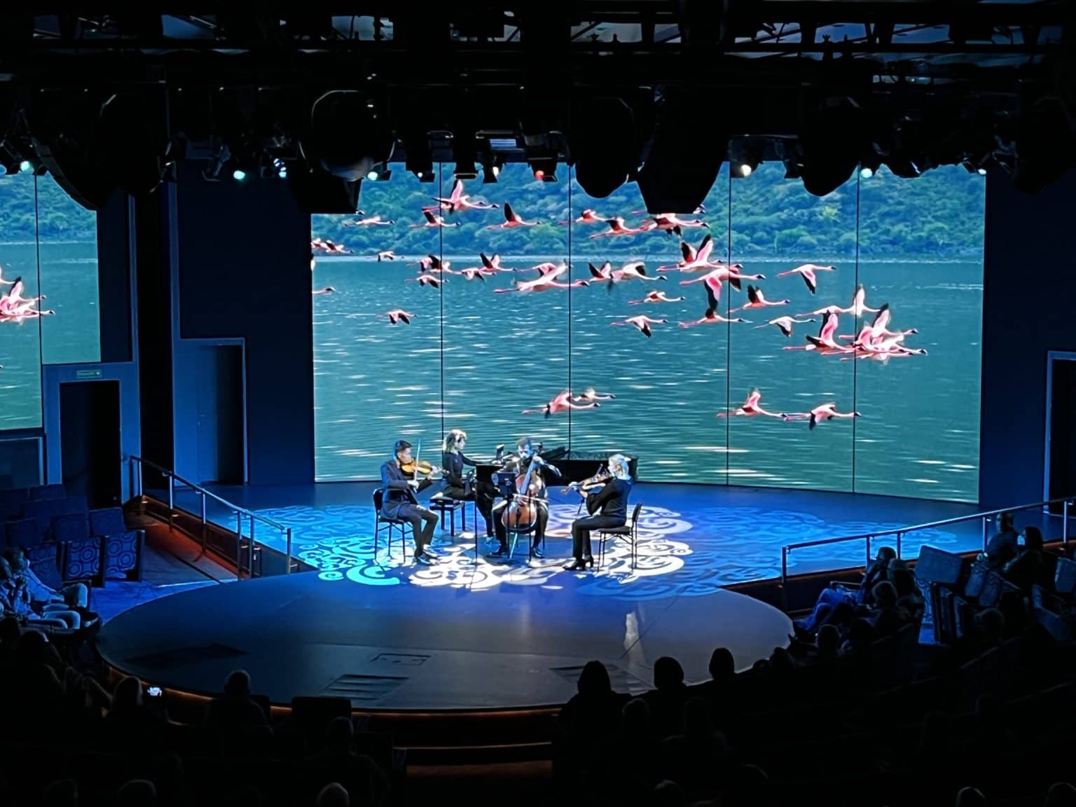 ms Rotterdam Cruise Ship: Comprehensive 2022 Review