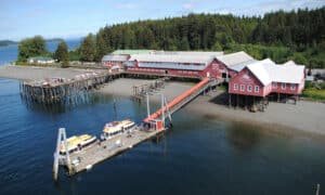 13 Things to Do in Icy Strait Point, Alaska