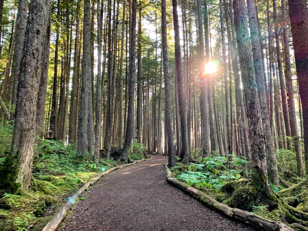 13 Things to Do in Icy Strait Point, Alaska