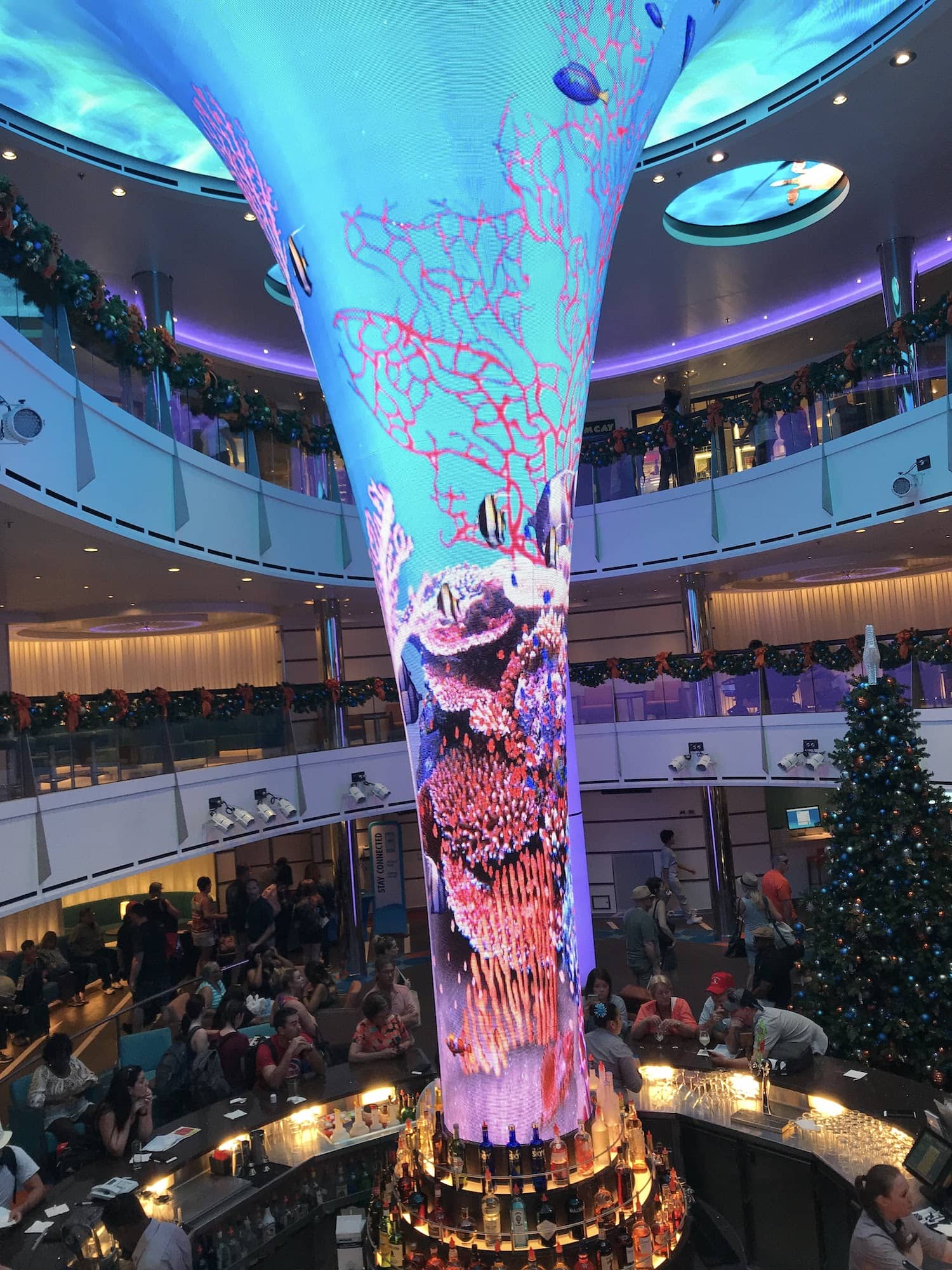 Carnival Vista Cruise Review [PHOTOS]