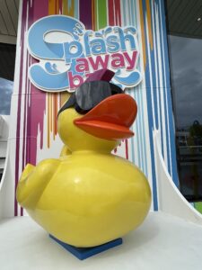 Cruise Ducks: A How-To Guide for Hiders and Seekers