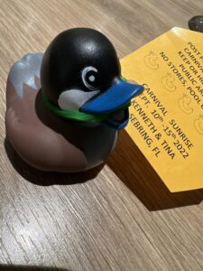 Cruise Ducks: A How-To Guide for Hiders and Seekers