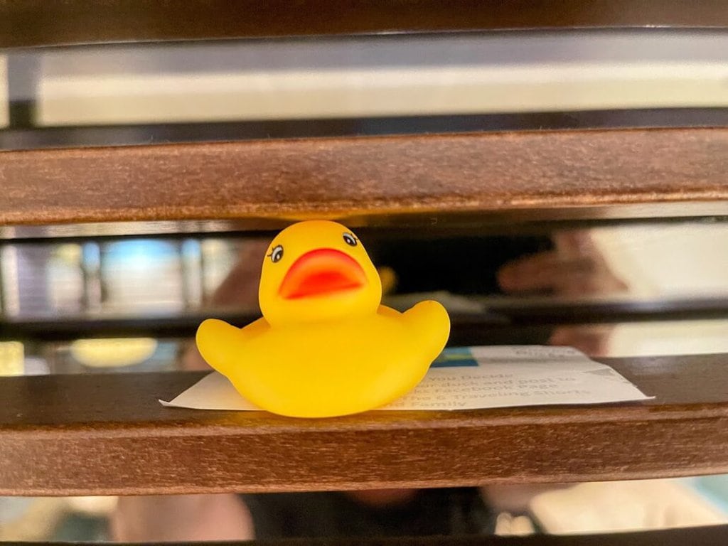 Cruise Ducks: A How-To Guide for Hiders and Seekers