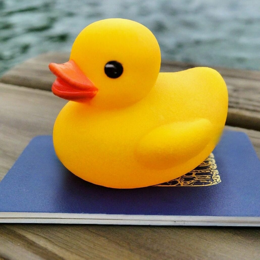 Cruise Ducks: A How-To Guide for Hiders and Seekers