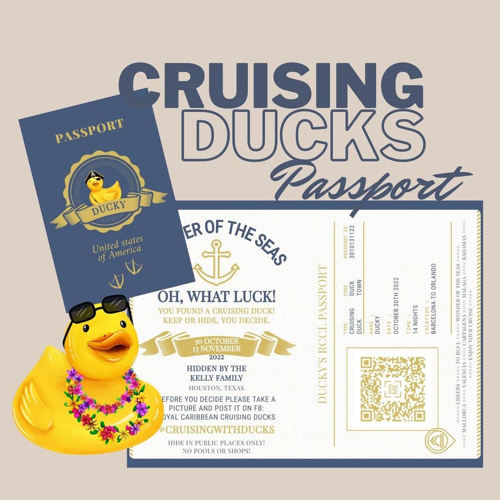 Cruise Ducks: A How-To Guide for Hiders and Seekers