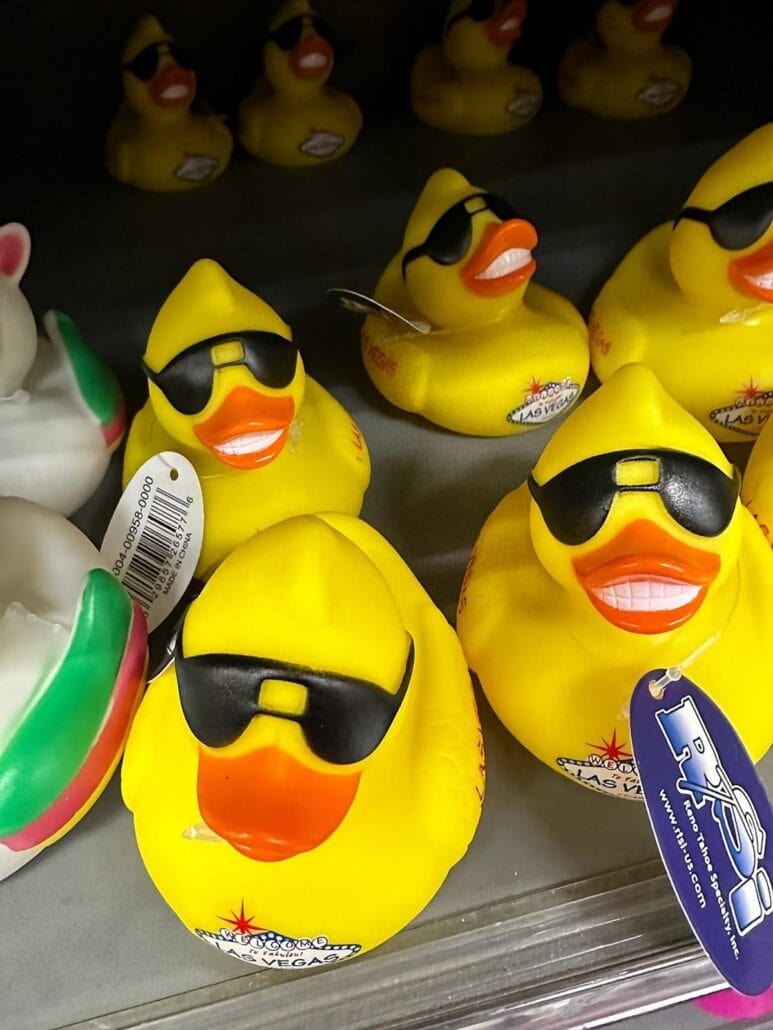 Cruise Ducks: A How-To Guide for Hiders and Seekers