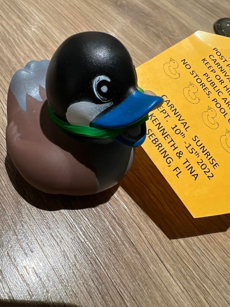 Cruise Ducks: A How-To Guide for Hiders and Seekers