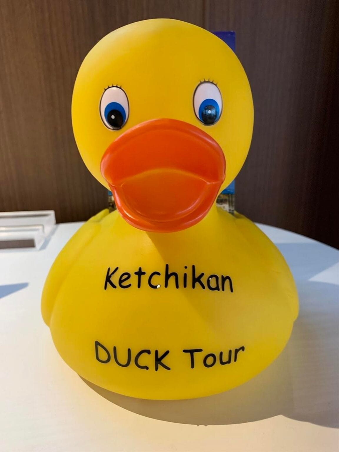Cruise Ducks: A How-To Guide for Hiders and Seekers