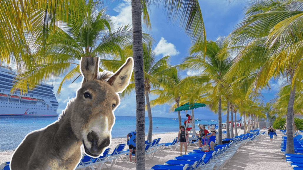 Carnival cruise passenger files lawsuit after being kicked by a wild donkey