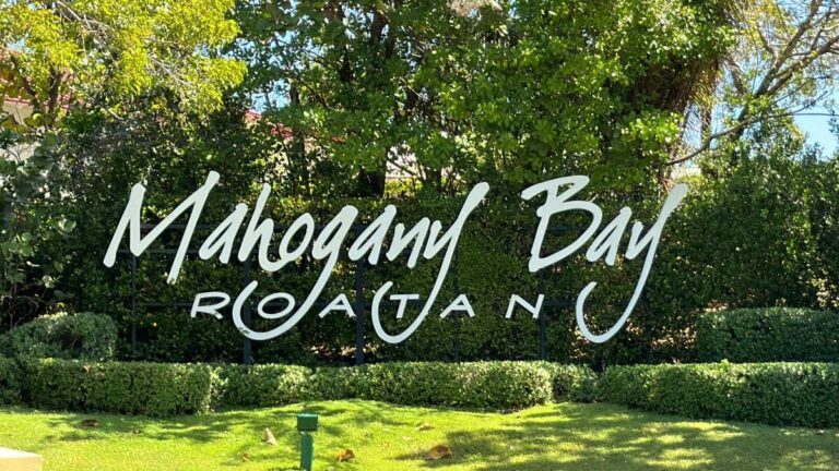 Mahogany Bay Cruise Port: A Complete Guide