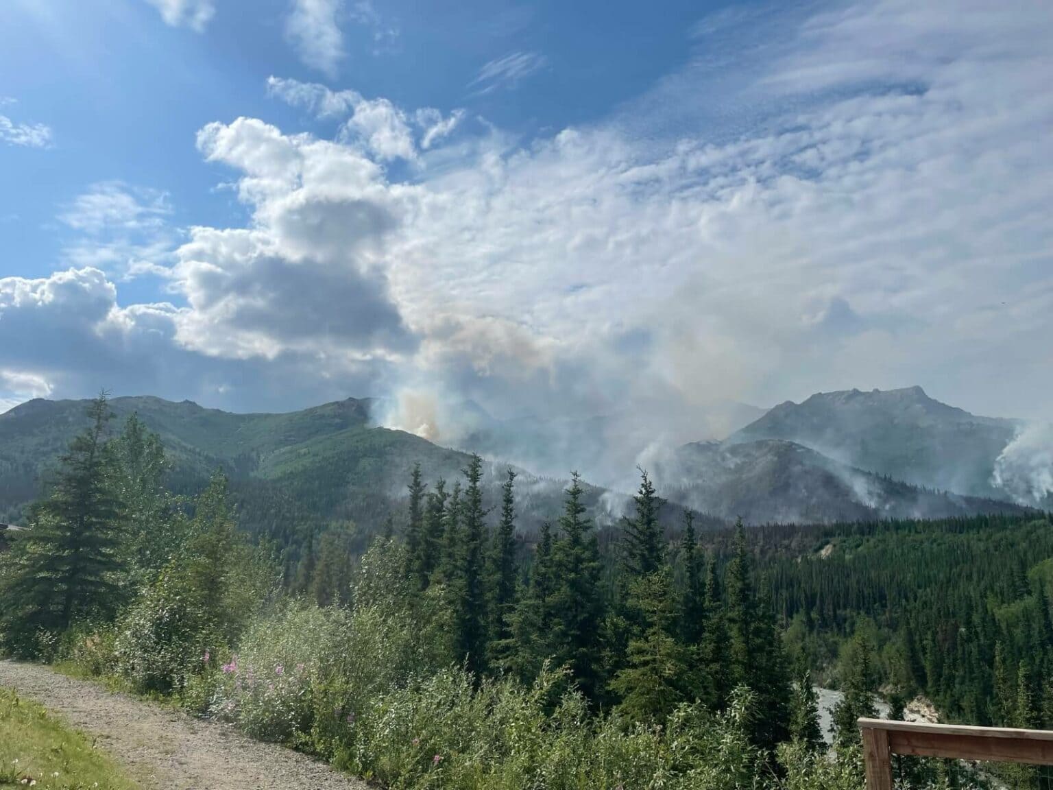 Wildfires in Alaska Force Cancellation of Denali Cruise Tours