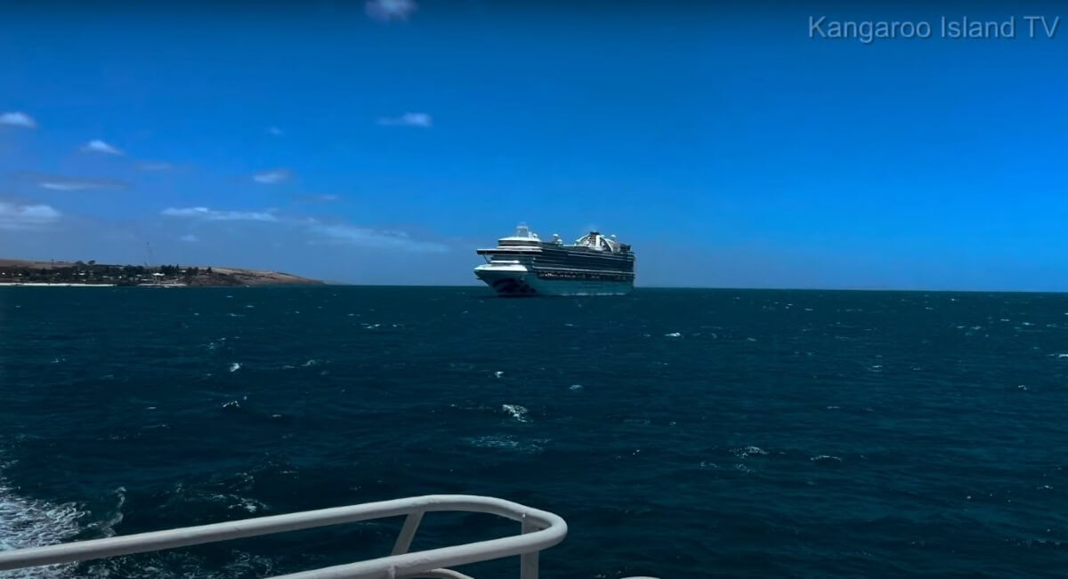 Tender Boat Runs Aground Near Kangaroo Island, Cruise Passengers Walk ...
