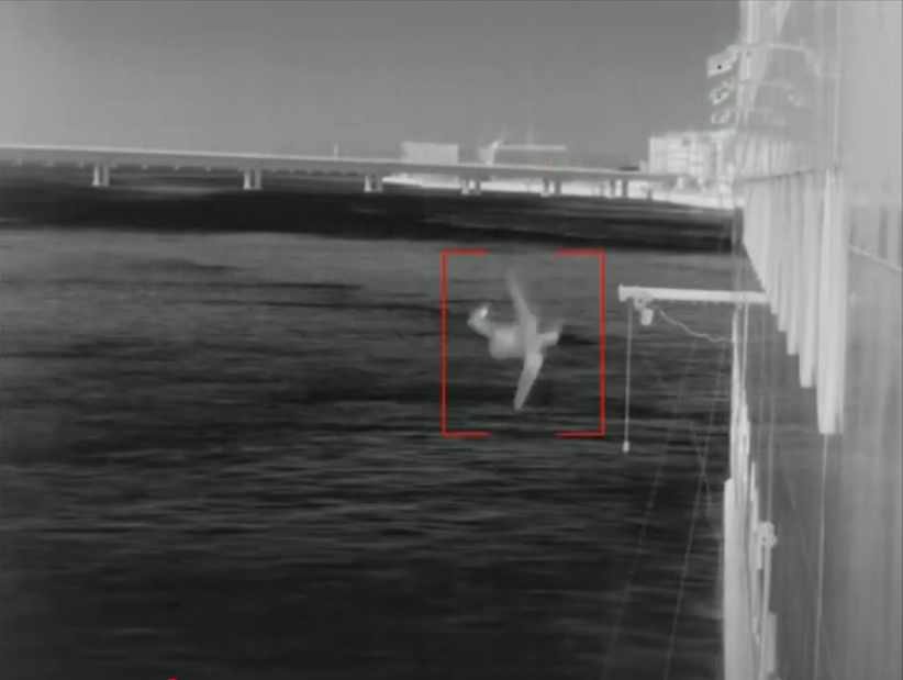 Cruise Line Implements AI for Man Overboard Detection